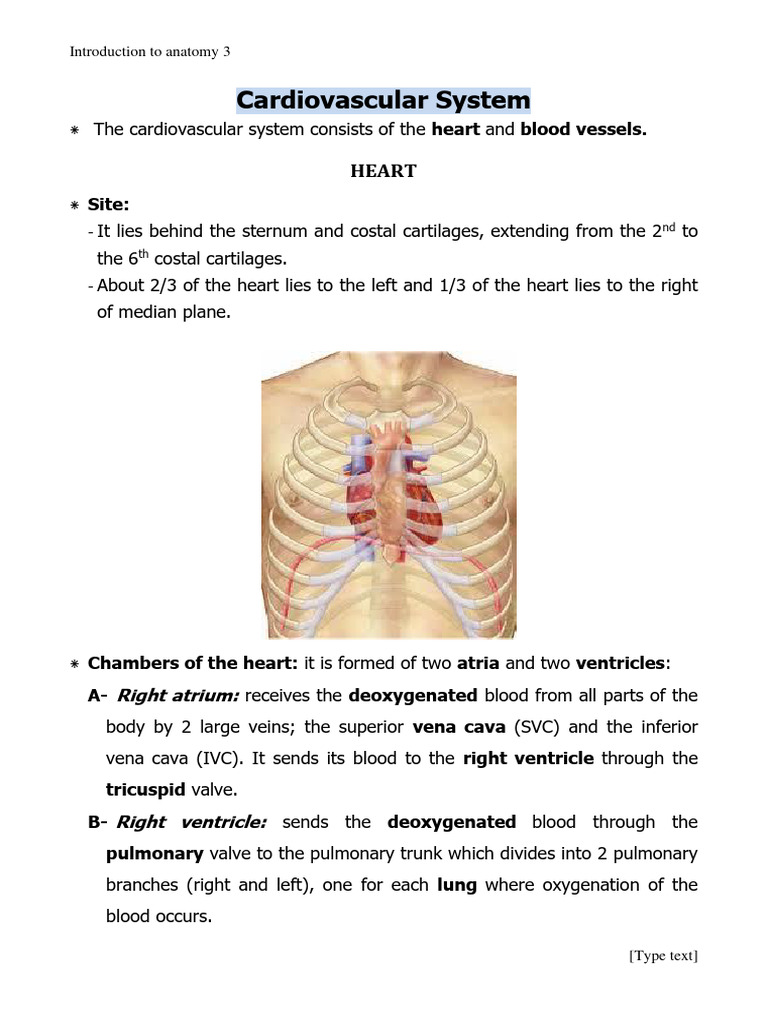 Introduction of Anatomy - Part 3 | PDF | Vein | Heart