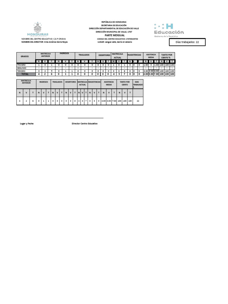 Formato Parte Mensual Prebasica | PDF
