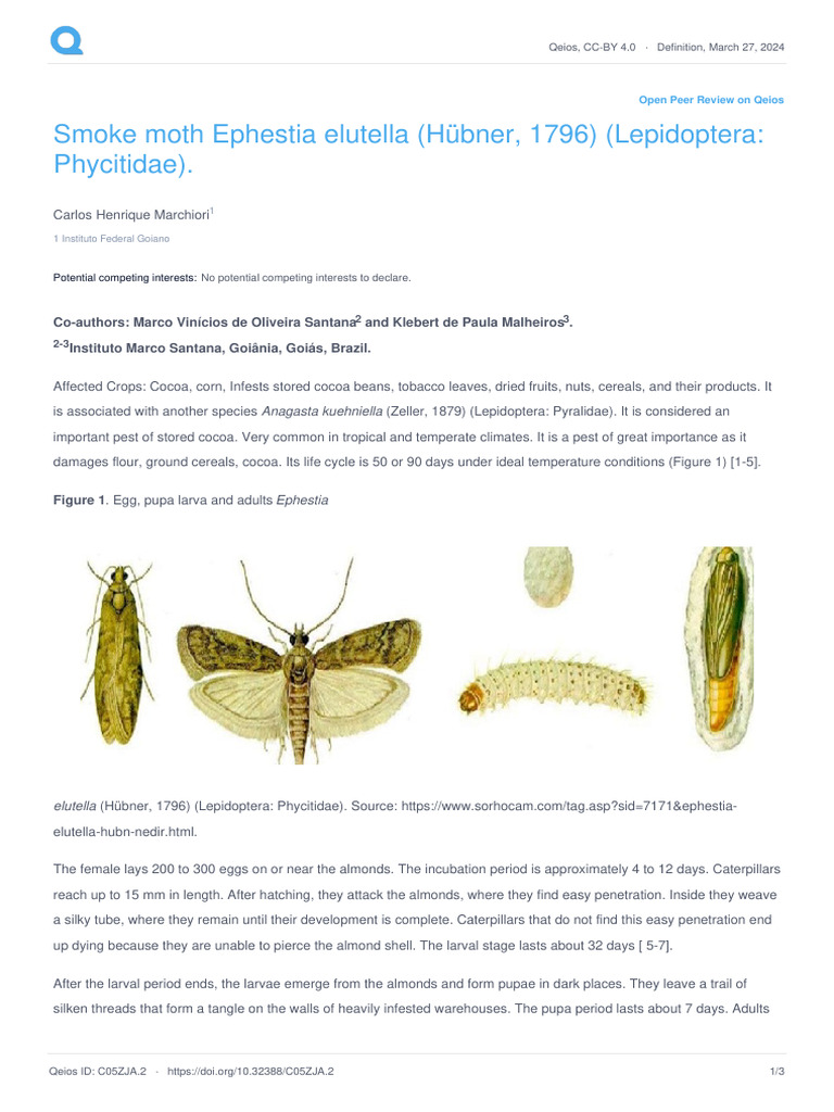 Smoke Moth Ephestia Elutella Hubner 1796 Lepidopte | PDF | Insects And ...