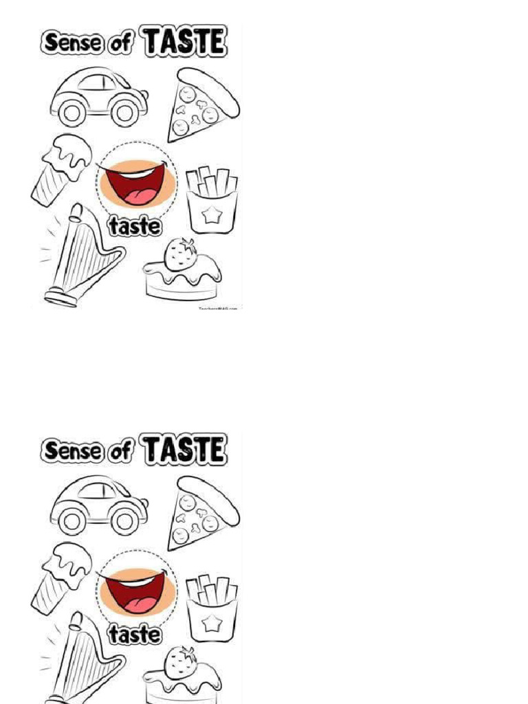 Sense of taste | PDF