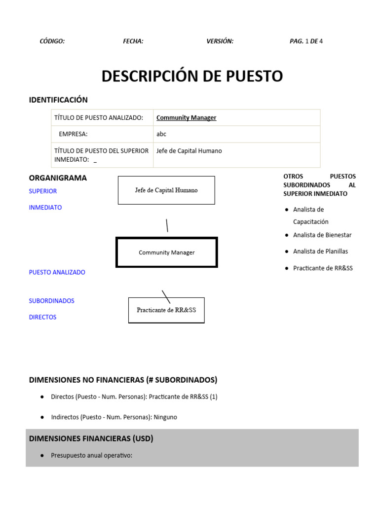 Descripción de Puestos - Formato 2021 V2 | PDF