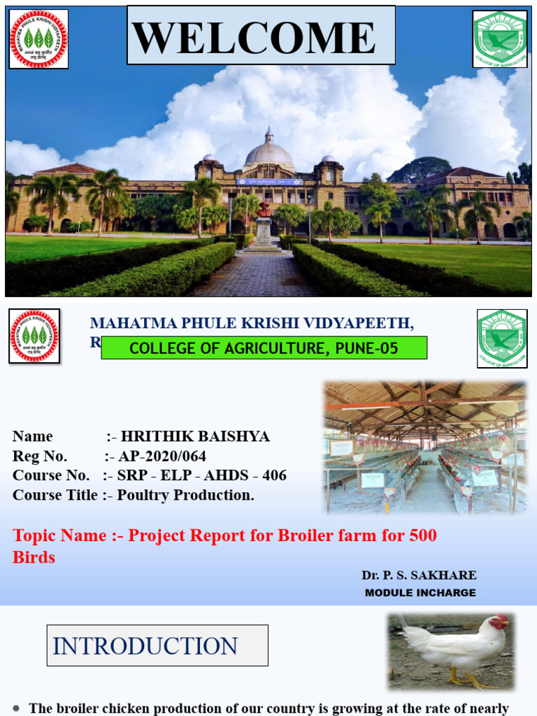 Broiler Farm Project Report for 500 Birds | PDF | Poultry Farming | Poultry