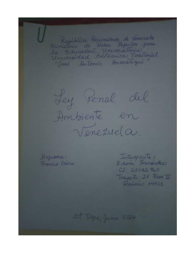 Edwin Fernandez | PDF