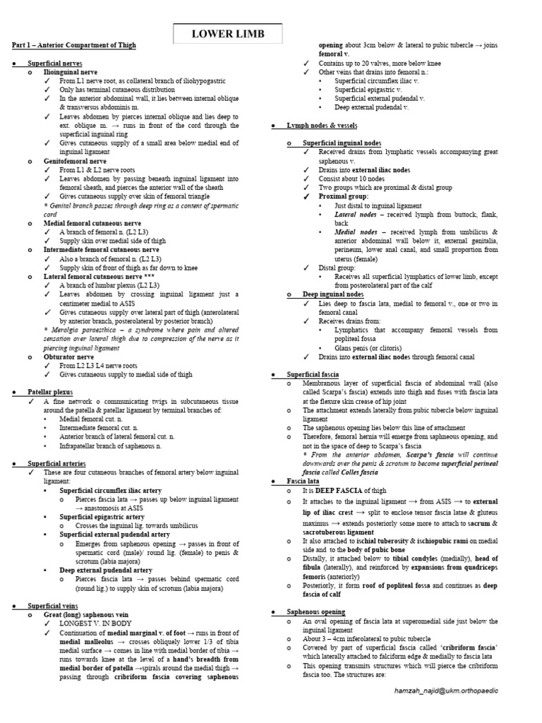 LAST'S Anatomy Simplified 03 - Lower Limb | PDF | Pelvis | Human Leg