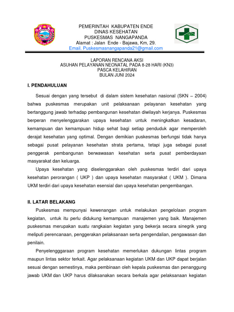 Laporan Asuhan Pelayanan KN3 | PDF