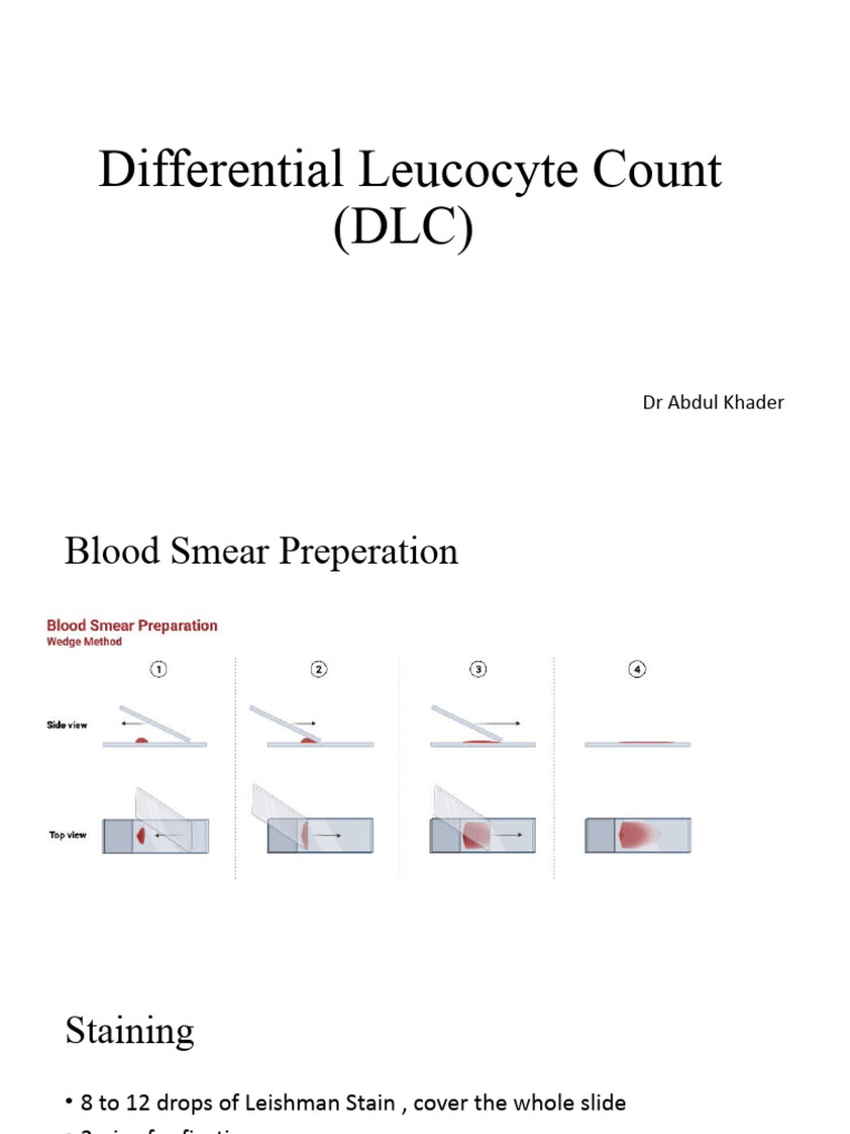 Differential Leucocyte Count (DLC) | PDF | Staining | White Blood Cell