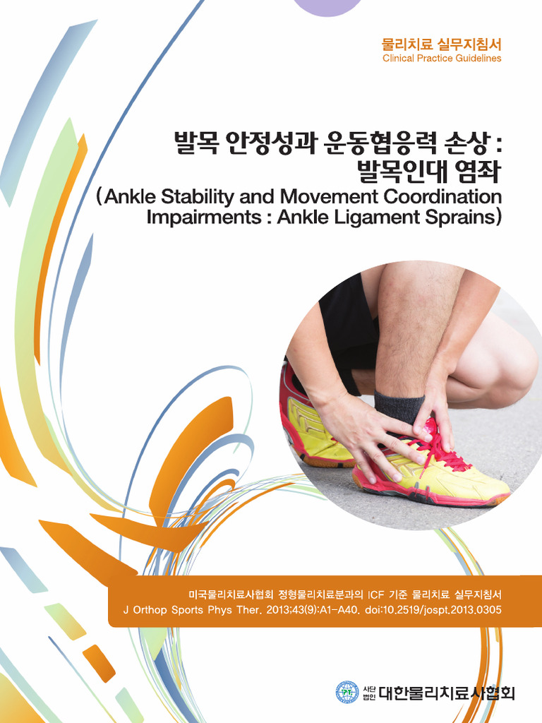 Ankle Stability and Movement Coordination Impairments - Ankle Ligament ...