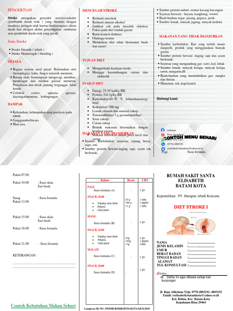 Brosur Stroke I 2015 (REV.2022) | PDF