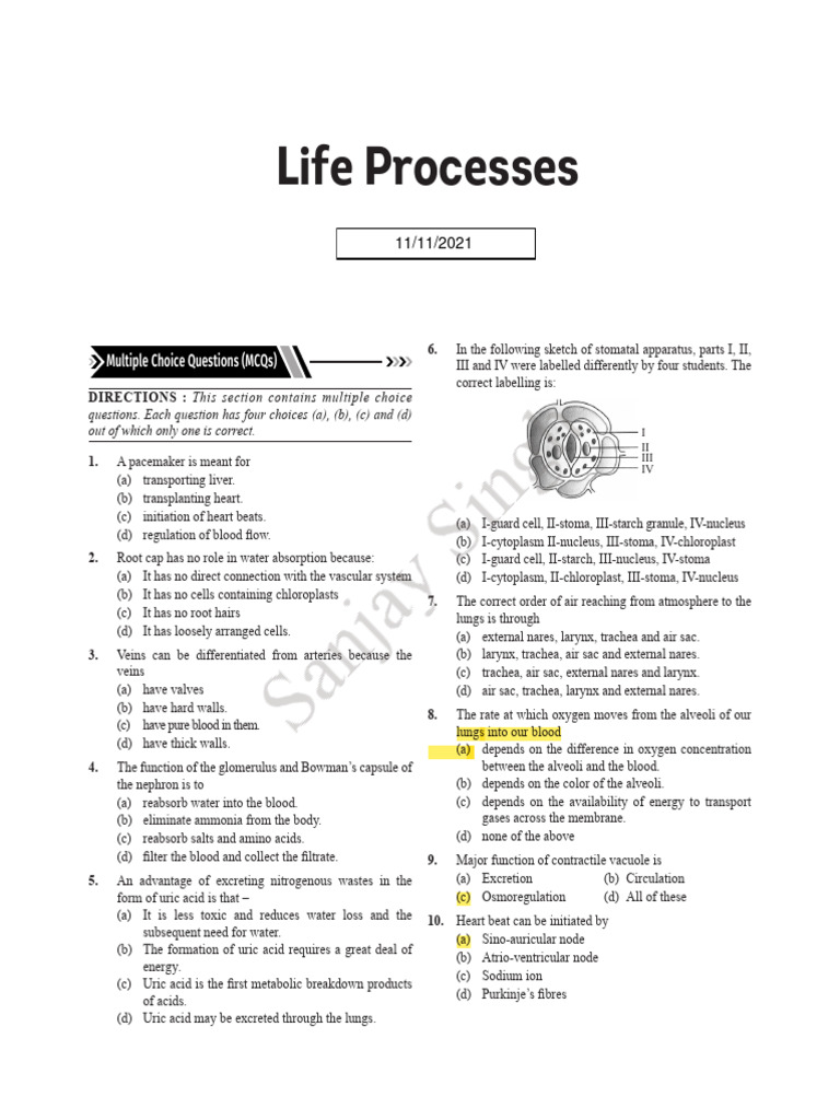 MCQ Life Processes | PDF | Cellular Respiration | Glucose