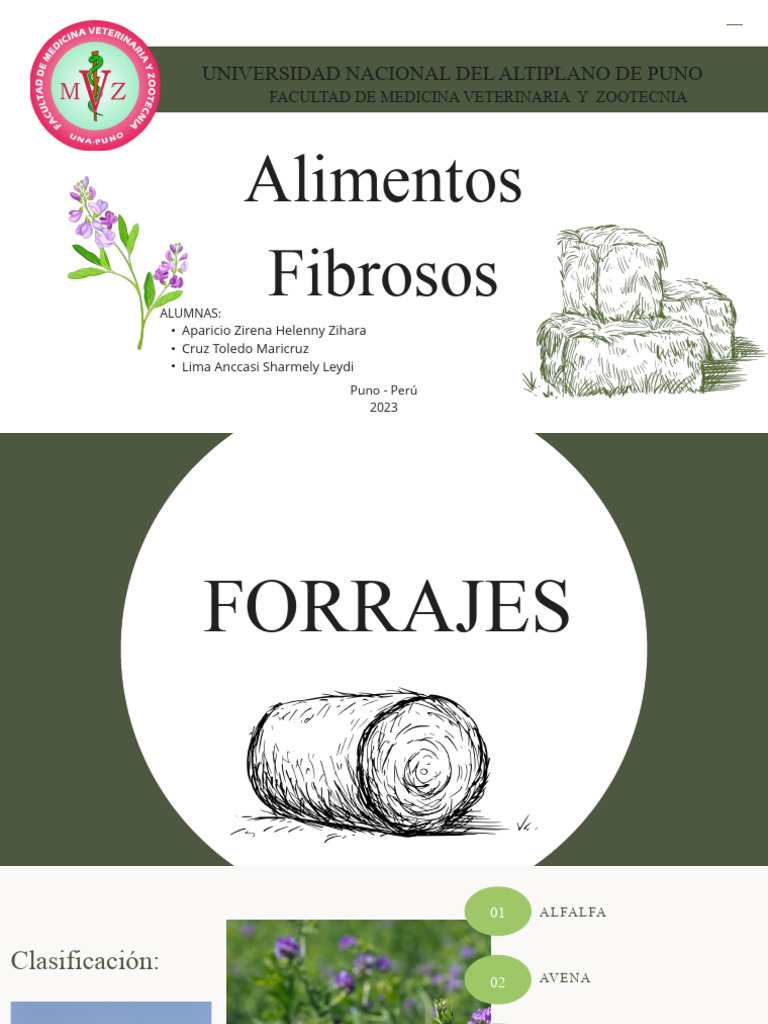 Forrajes | PDF | Avena | Alimentos