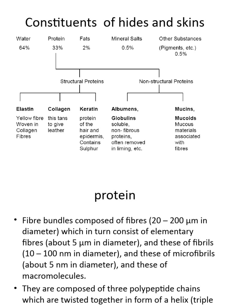 Composition of Hides and Skins Explained | PDF | Lipid | Skin
