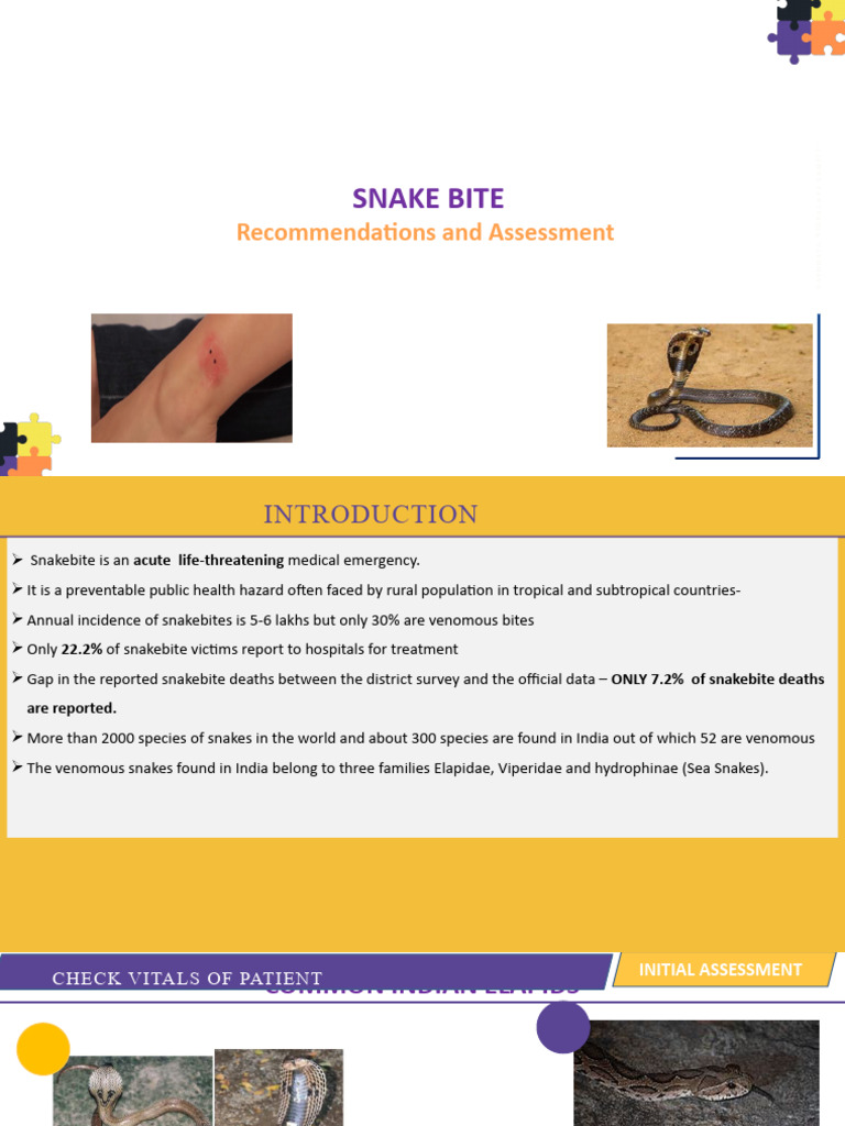 Chapter 1 | PDF | Squamata | Venomous Snakes