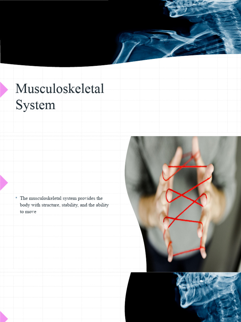 Musculoskeletal System | PDF | Human Musculoskeletal System | Arthritis