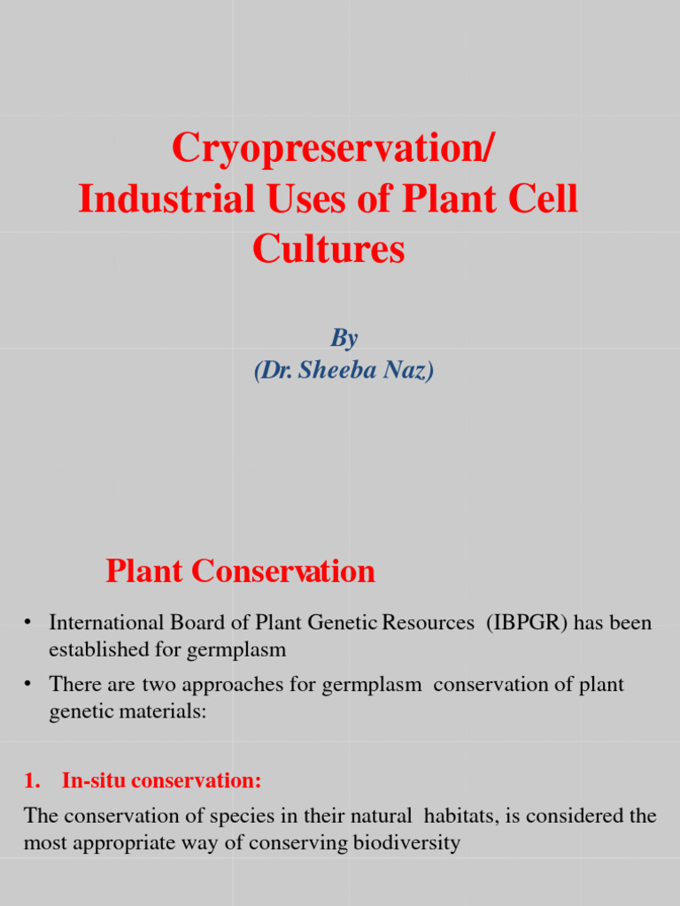 Cryopreservation, Industrial Uses of Plant Cell Cultures | PDF ...