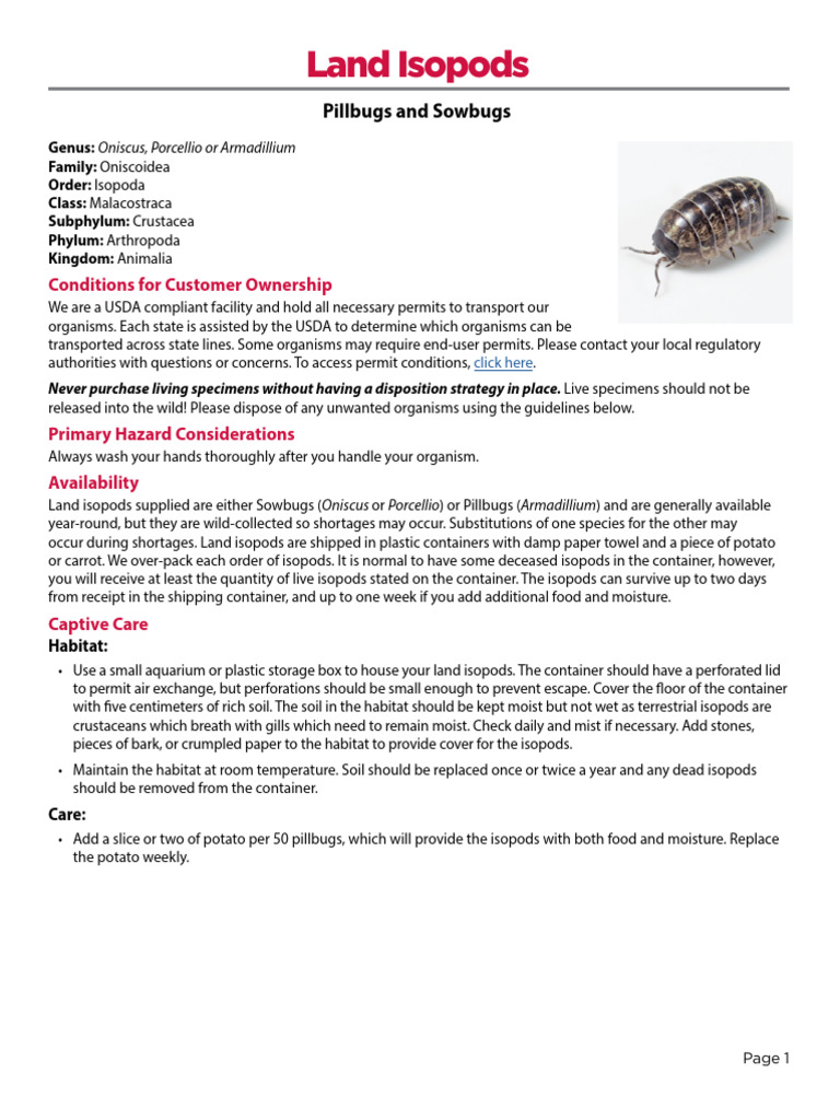 Wards Land Isopods LMCS | PDF | Zoology