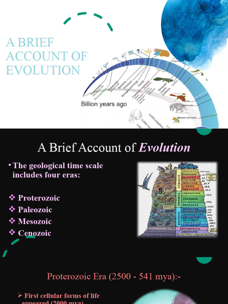 A Brief Account of Evolution | PDF | Homo