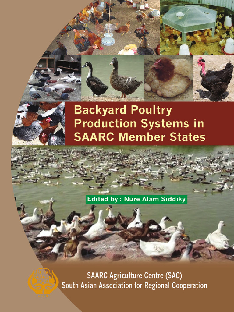 Backyard Poultry | PDF | Poultry | Poultry Farming