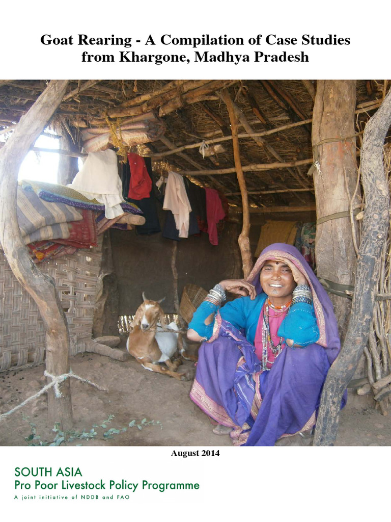 Goat Rearing - A Compilation of Case Studies From Khargone, Madhya Pradesh | PDF | Goat ...