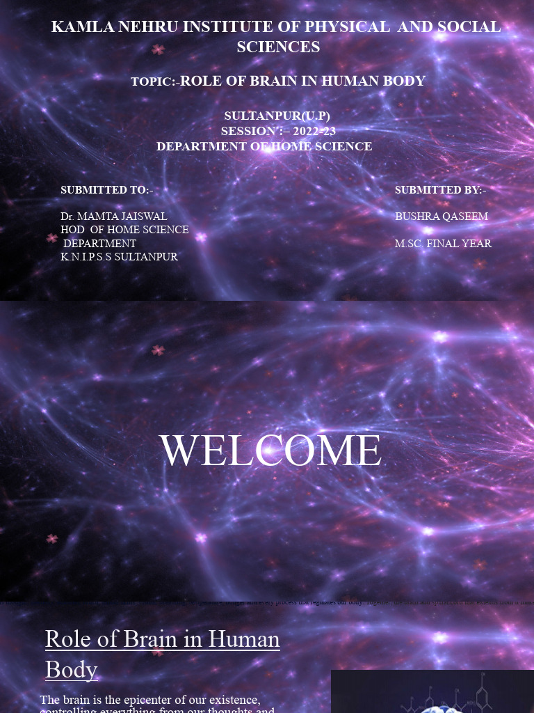 Brain | PDF | Brain | Neuroplasticity