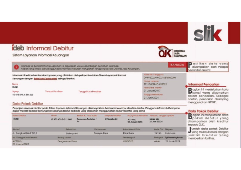 OJK Data - SLIK ID37384 | PDF