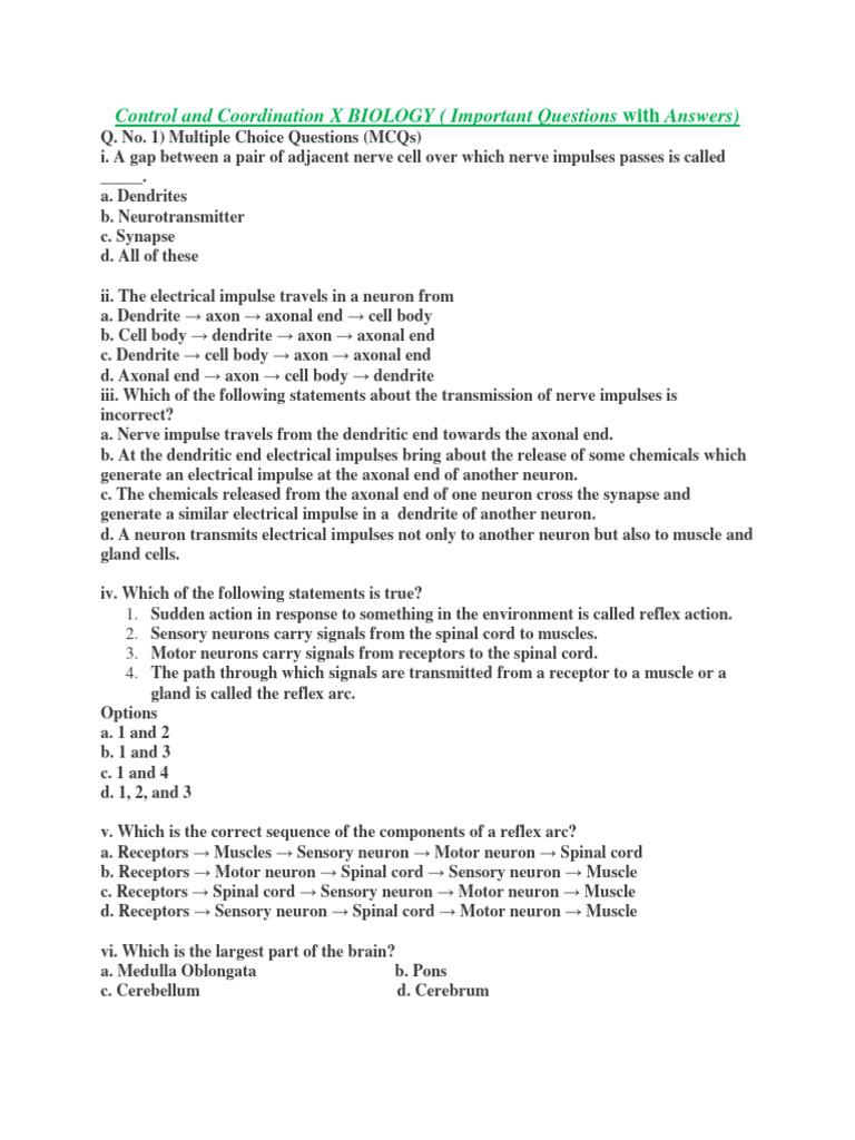 (CG) Control and Coordination X BIOLOGY | PDF | Axon | Neuron