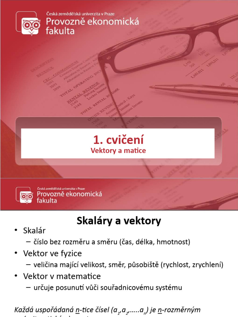 VSRR1 - Vektory A Matice | PDF