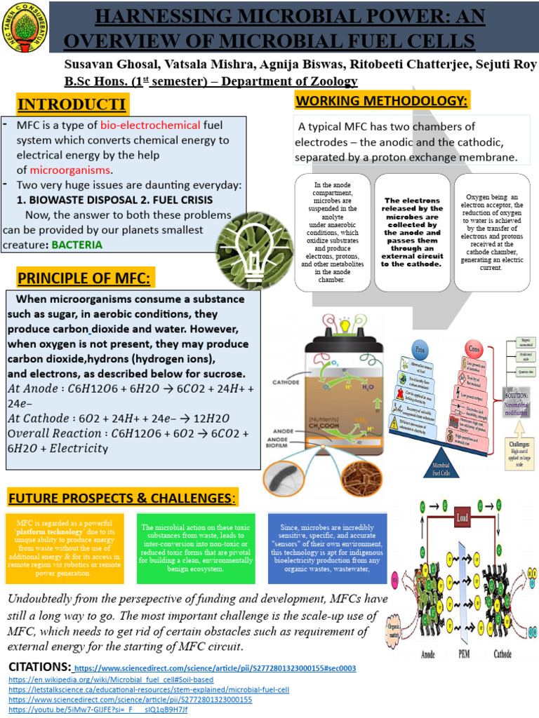 Overview of Microbial Fuel Cells | PDF | Biology | Electrochemistry