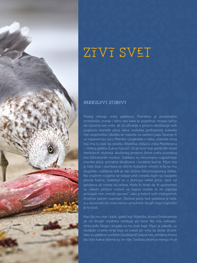 Zivi Svet: Herkulovi Stubovi | PDF