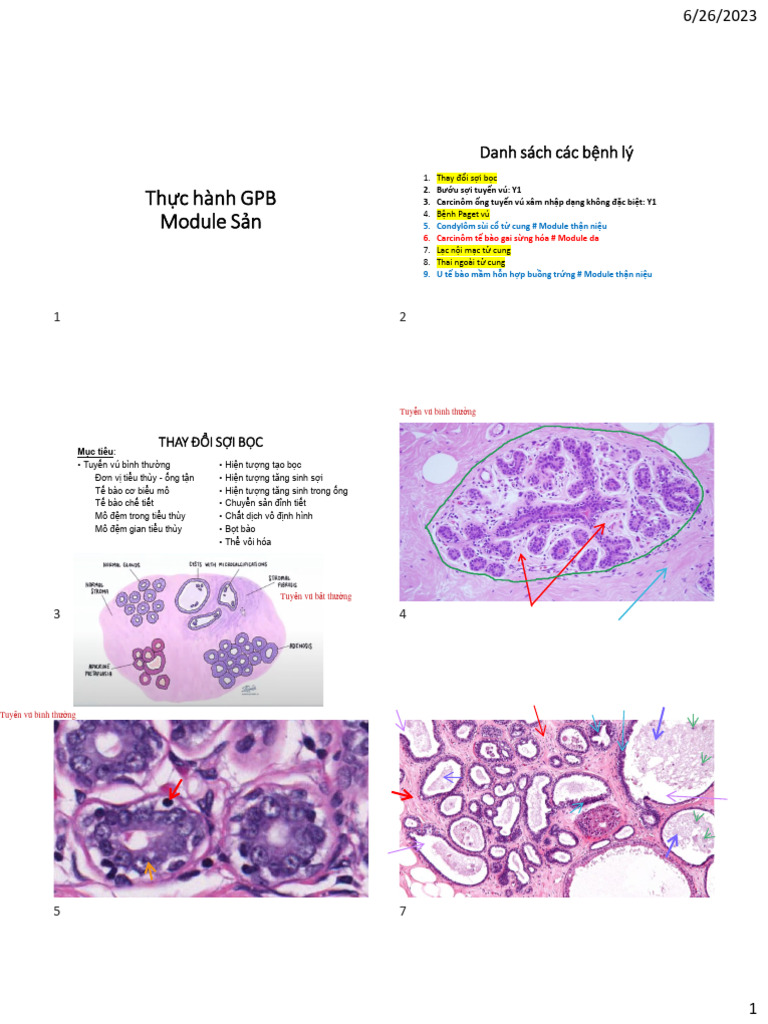 Thực Hành GPB | PDF