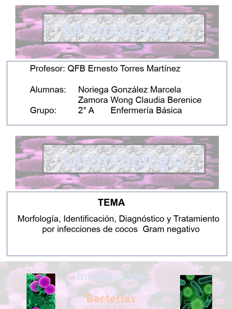 Coco Gram Negativo | PDF | Bacterias Gram-negativo | Las bacterias