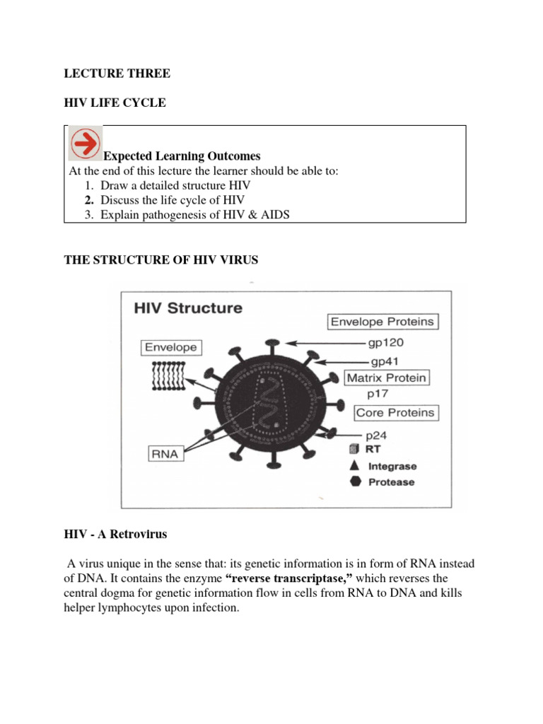 Lecture Three | PDF | Hiv | Virus