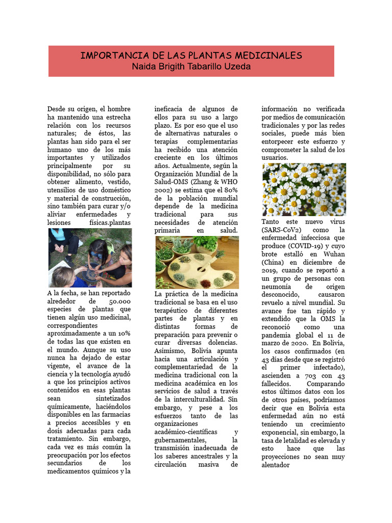Documentos de Google Naida | PDF | Medicina | Ciencias de la Salud