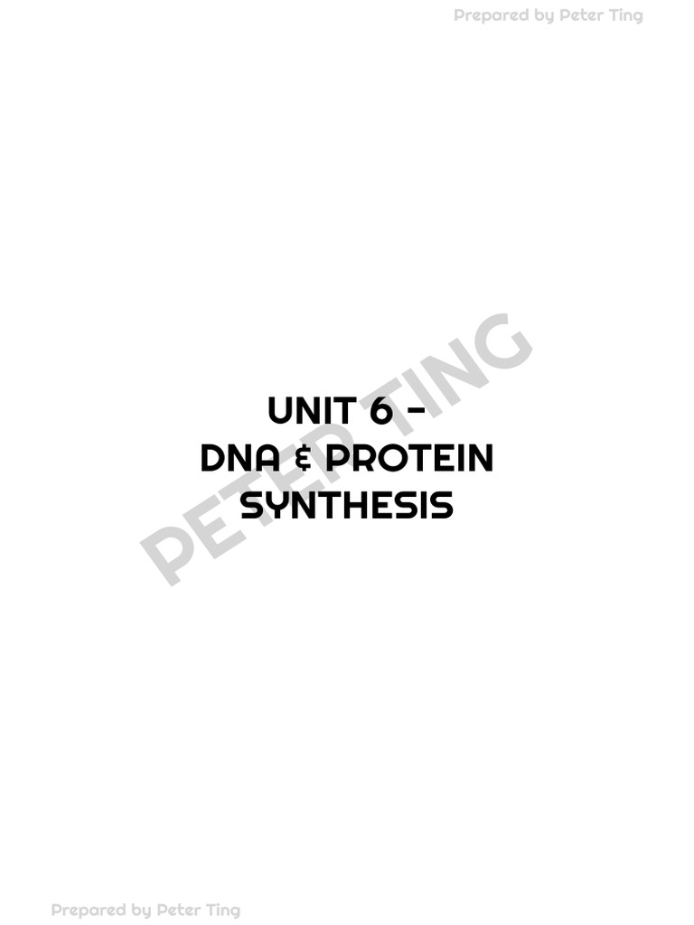 Unit 6 - DNA - Protein Synthesis (S) | PDF | Translation (Biology) | Gene