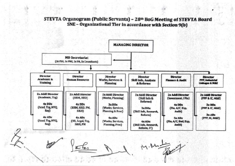 STEVTA HQ Organogram 2021 | PDF