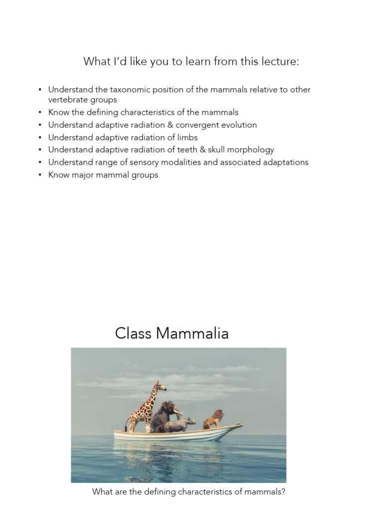 7 - Mammals Notes | PDF | Mammals | Marsupials