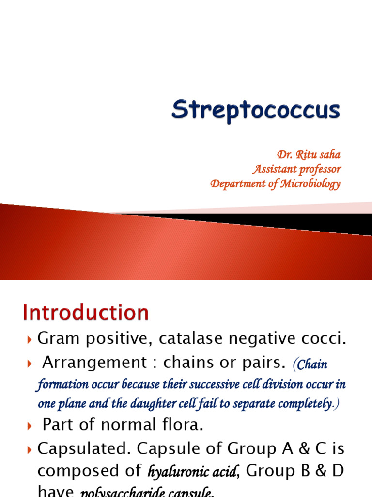 2.Streptococcus | PDF | Streptococcus | Infection