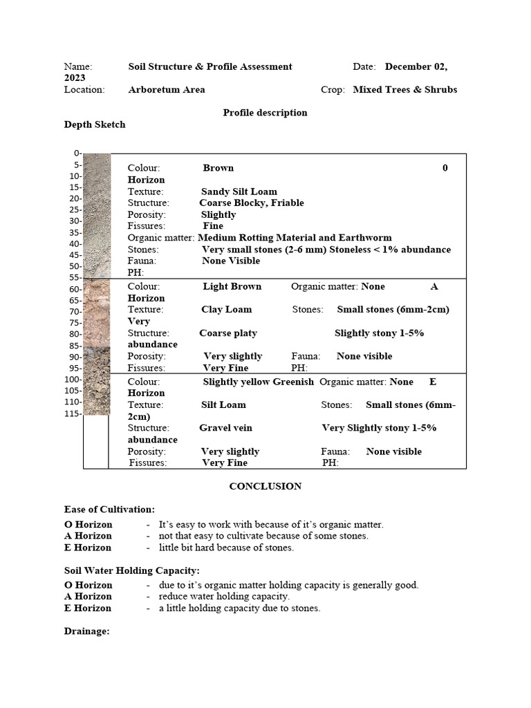 Soil Structure & Profile Assessment | PDF | Horticulture | Natural ...