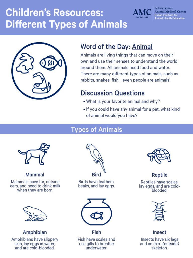 Animal Classification | PDF | Reptile | Mammals