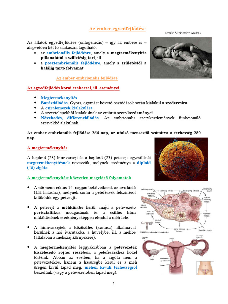 Egyedfejlodes Alap | PDF