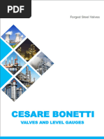 AMPO POYAM VALVES General Brochure | PDF