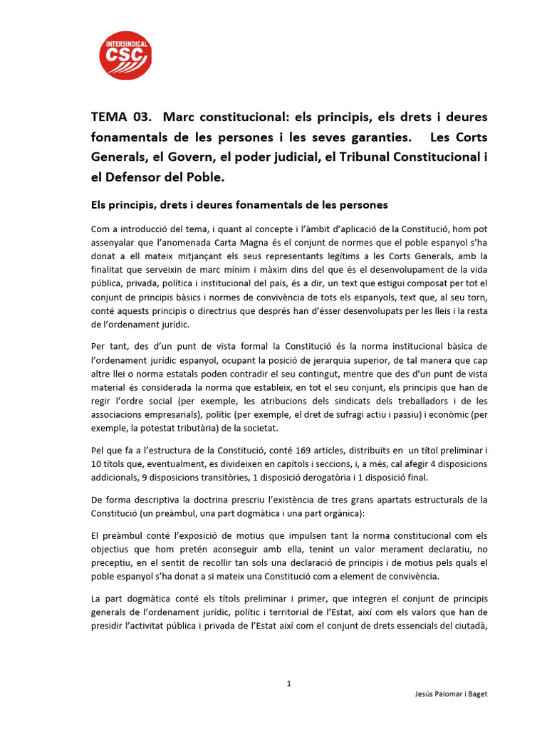 Tema 01a Marc Constitucional Els Principis, Els Drets I Deures | PDF