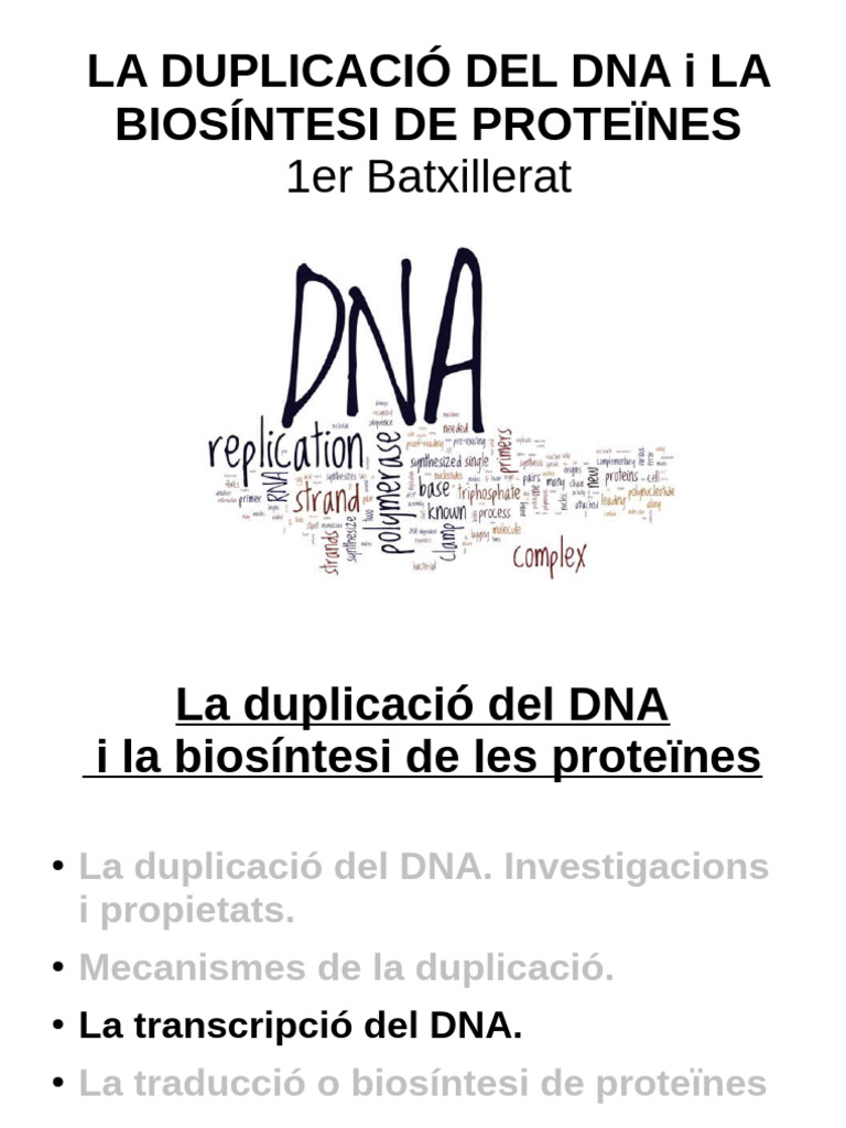 Gen Mol Transcripció | PDF