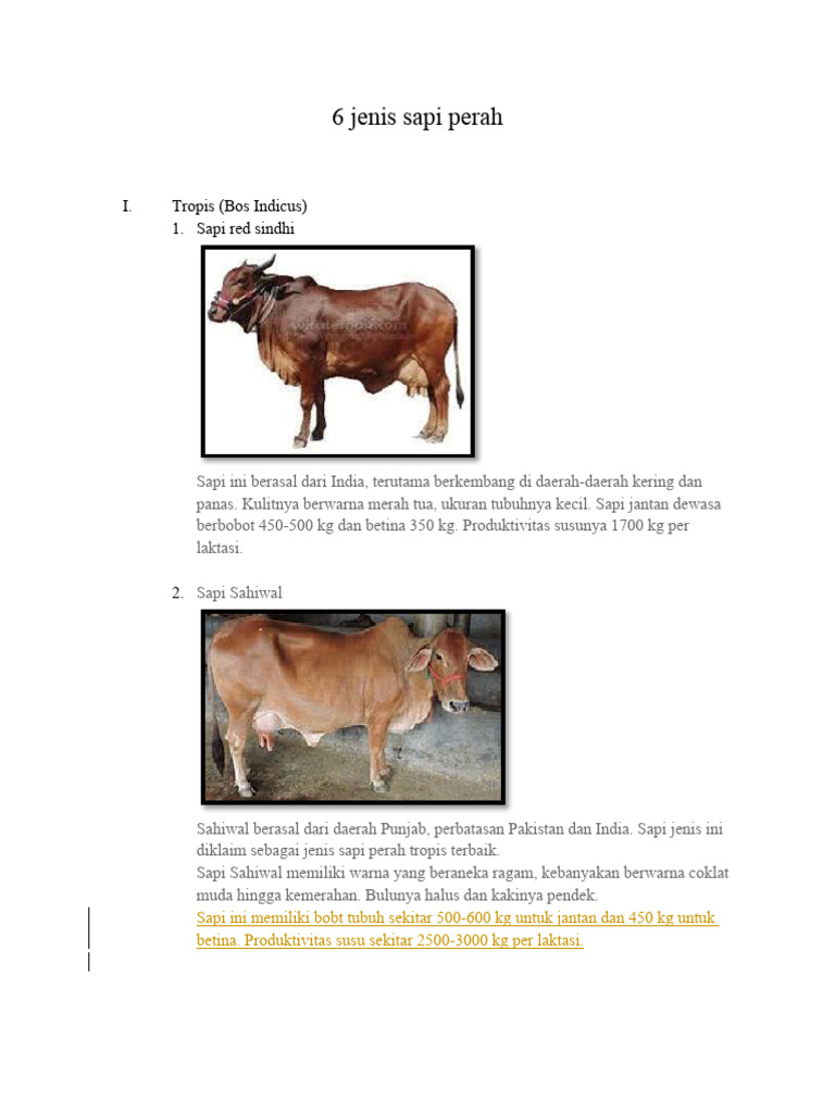 6 Jenis Sapi Perah | PDF | Griya & Taman