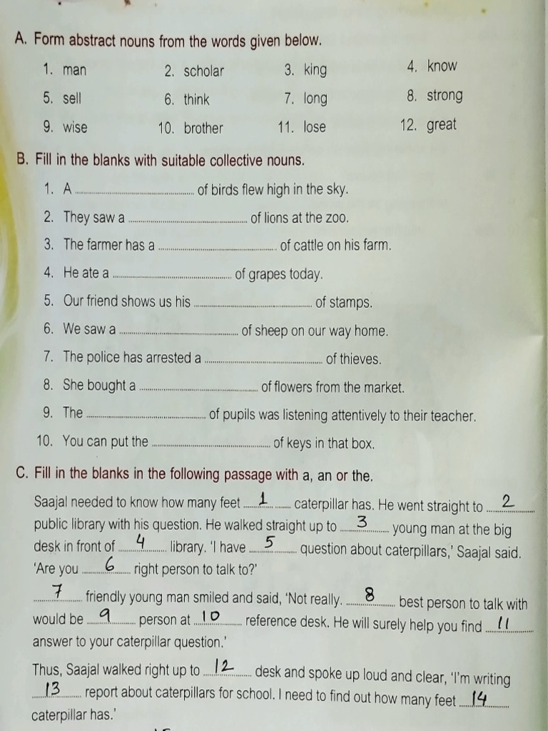 Adobe Scan 02-Jul-2024 (4) | PDF