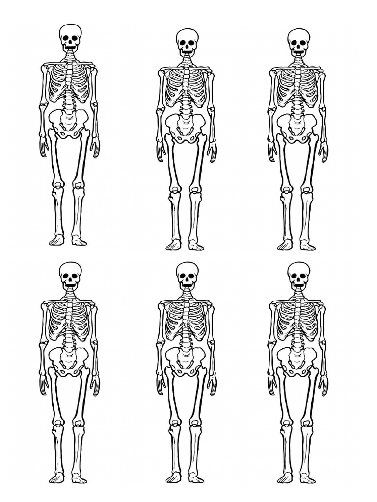 SKELETON | PDF