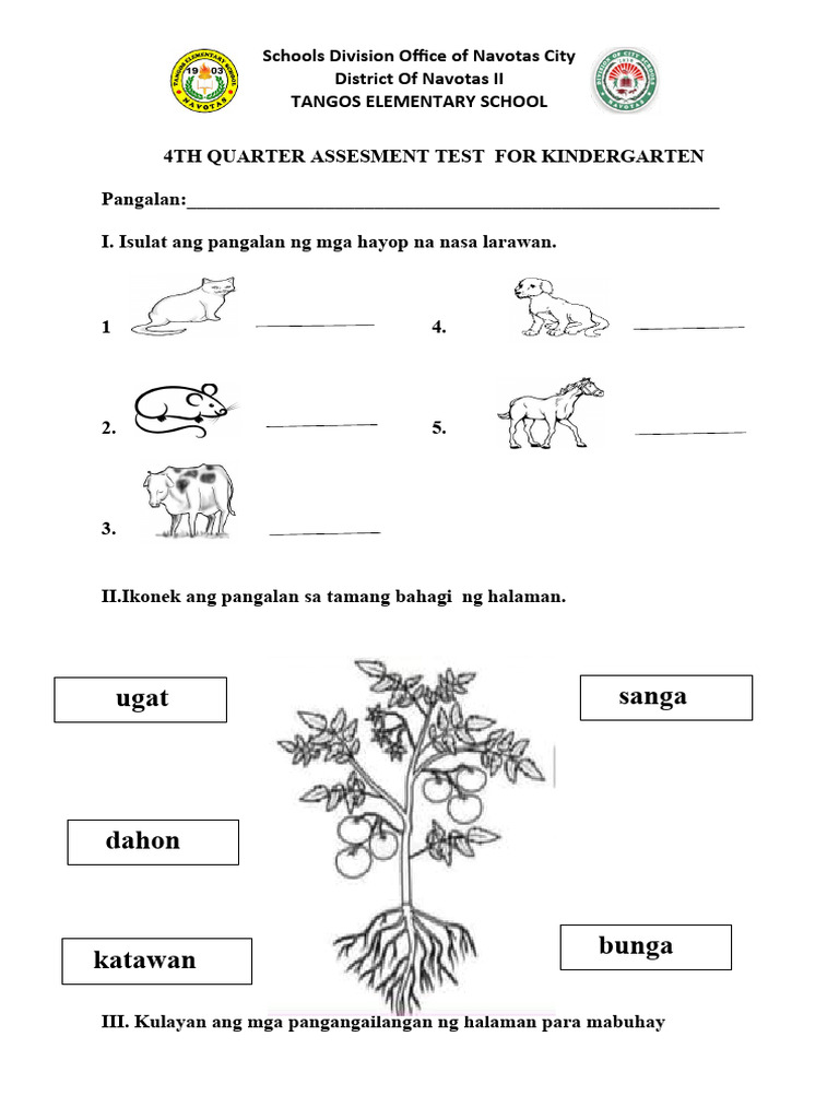 Kindergarten 4th Quarter Assessment Test | PDF