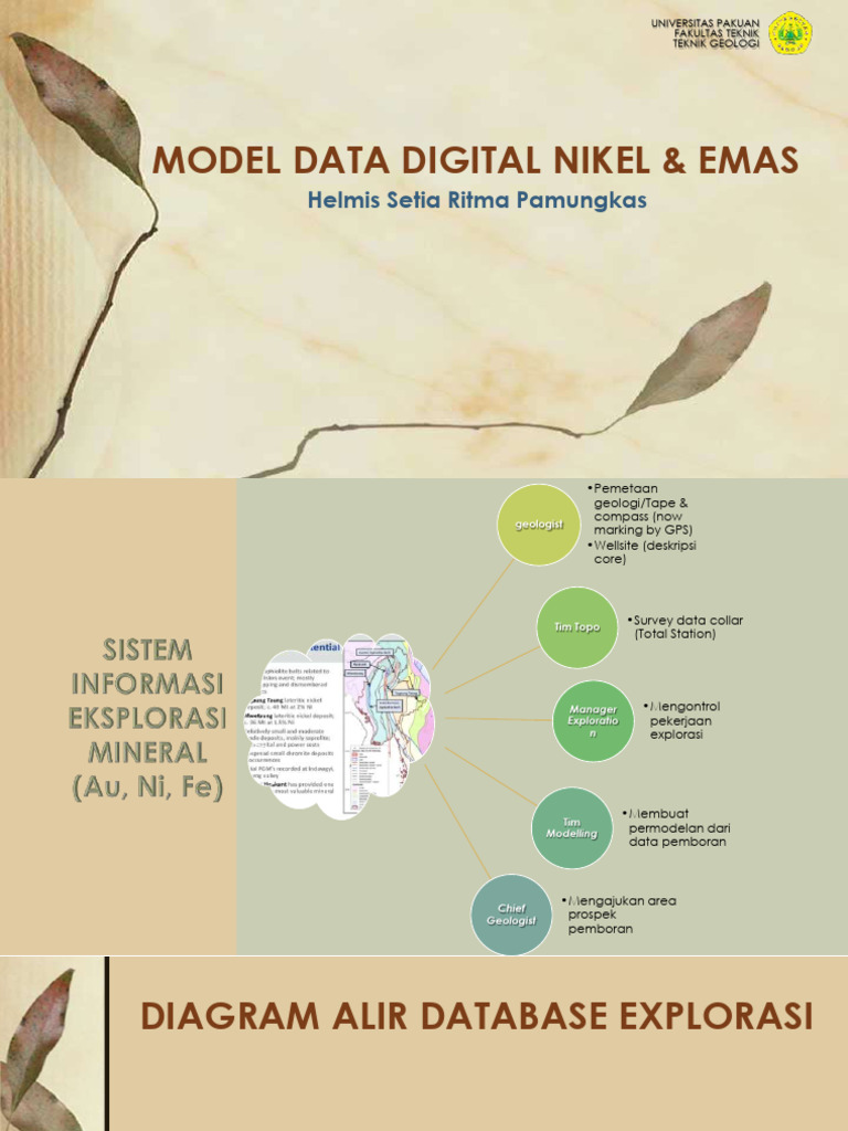 Model Data Geologi Nikel Dan Emas - 2024 | PDF