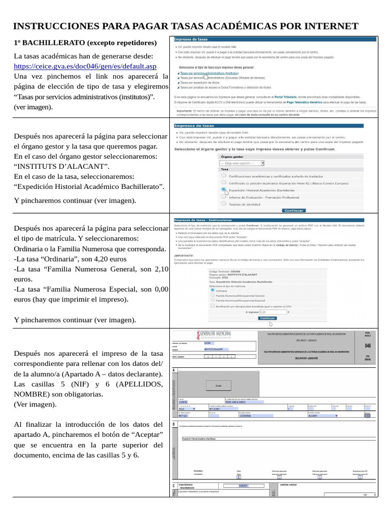 Instrucciones Pago Mod.046. 1bat | PDF