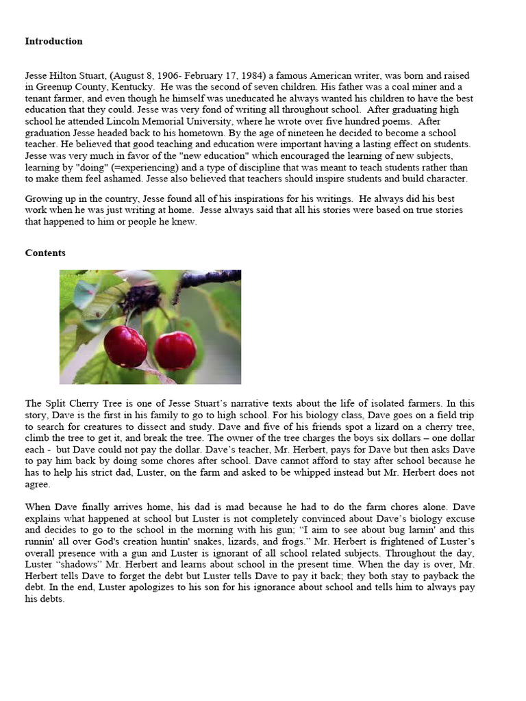 SCT Analysis and Bridging | PDF