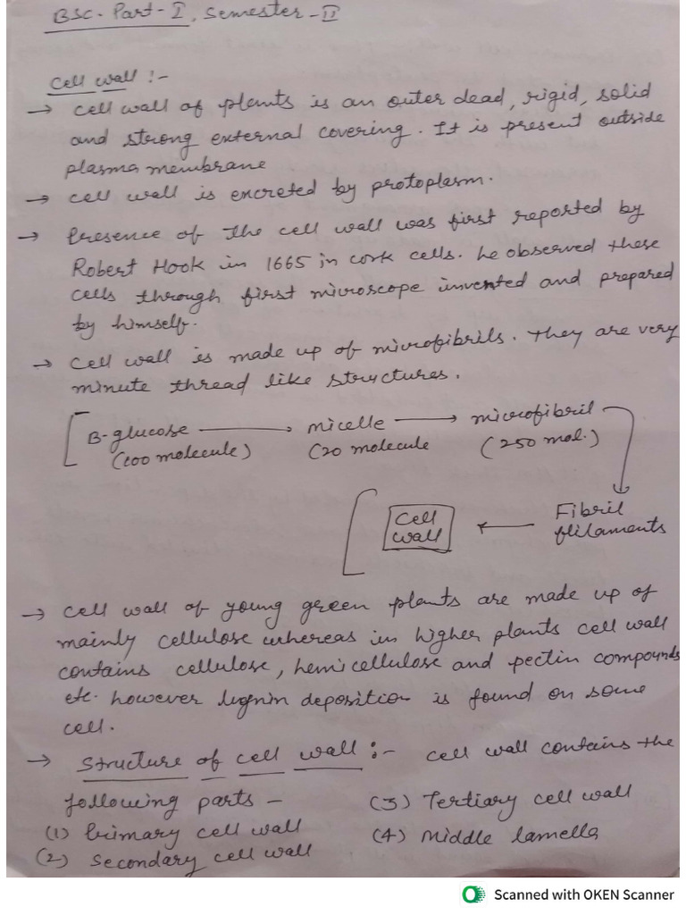 Cell Biology Notes Sem-Ll | PDF